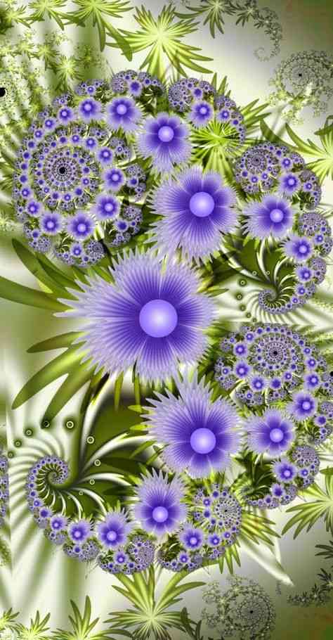 #flower #wallpaper - MirrorLog.com