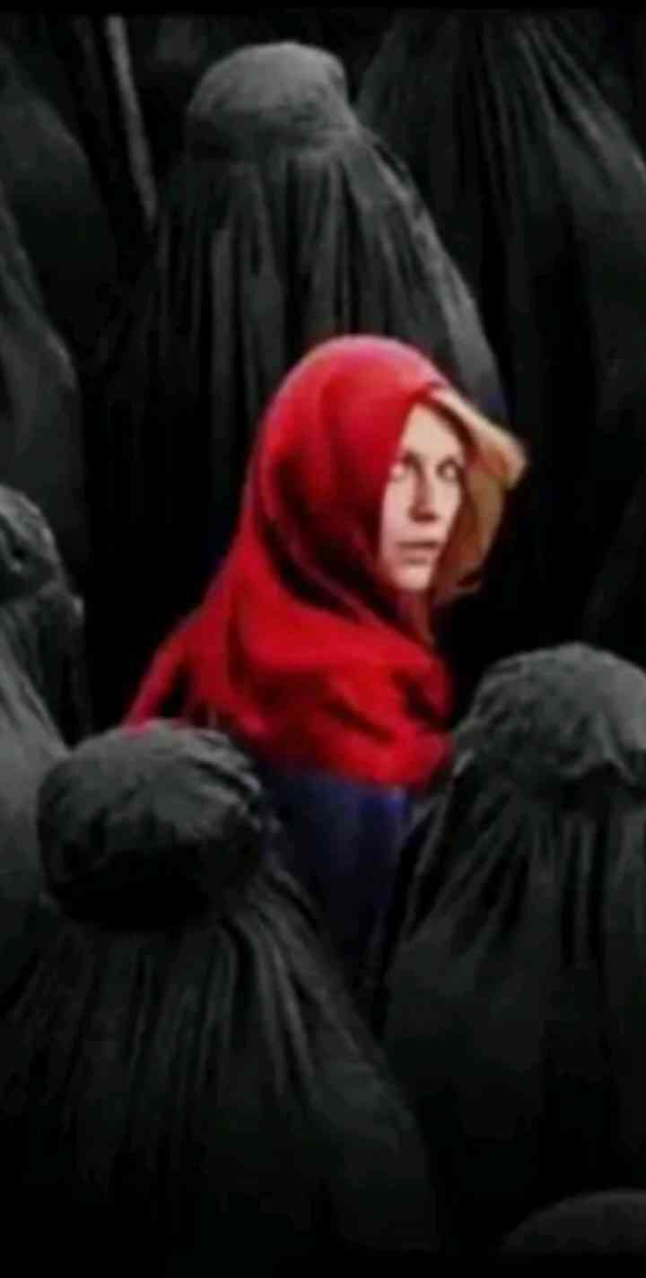 #walpaper - MirrorLog.com