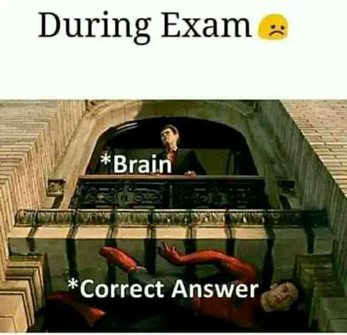 Why the wickedness - MirrorLog.com