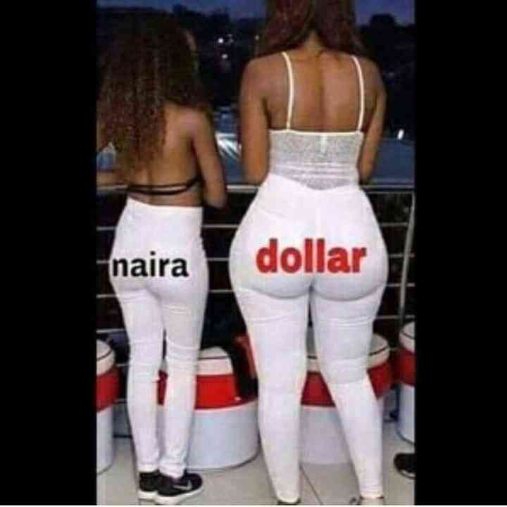 No debate 😹😂 - MirrorLog.com