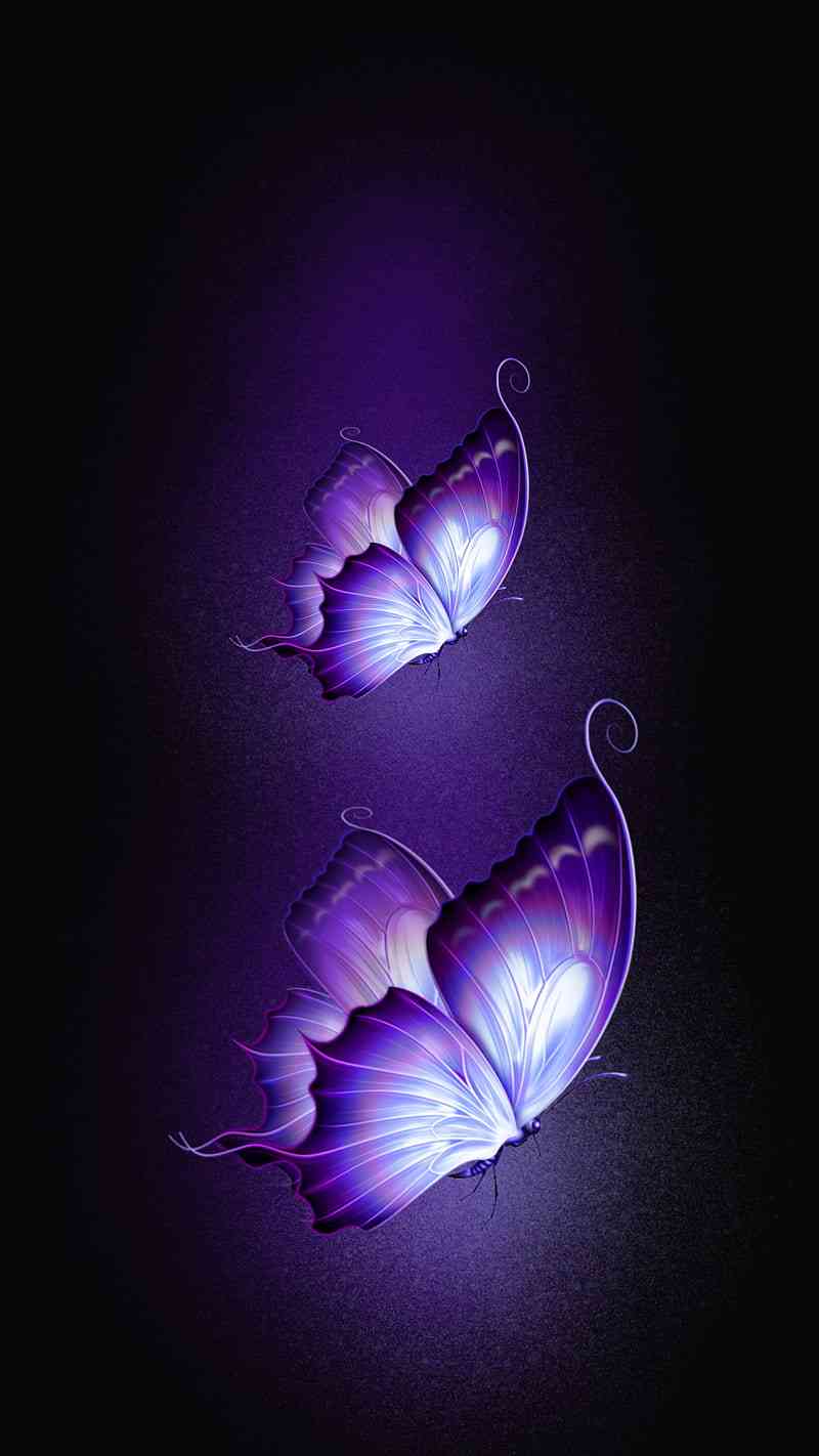 #Butterfly #wallpaper - MirrorLog.com