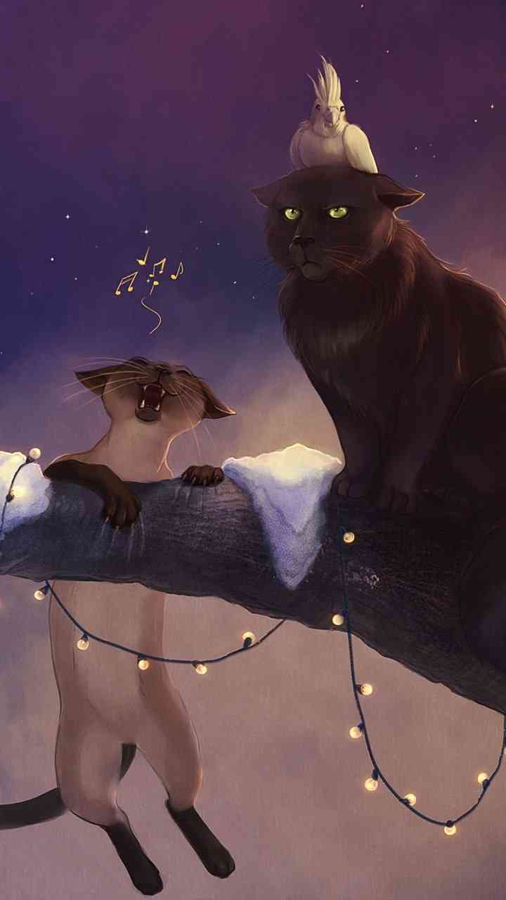 Melody night - MirrorLog.com