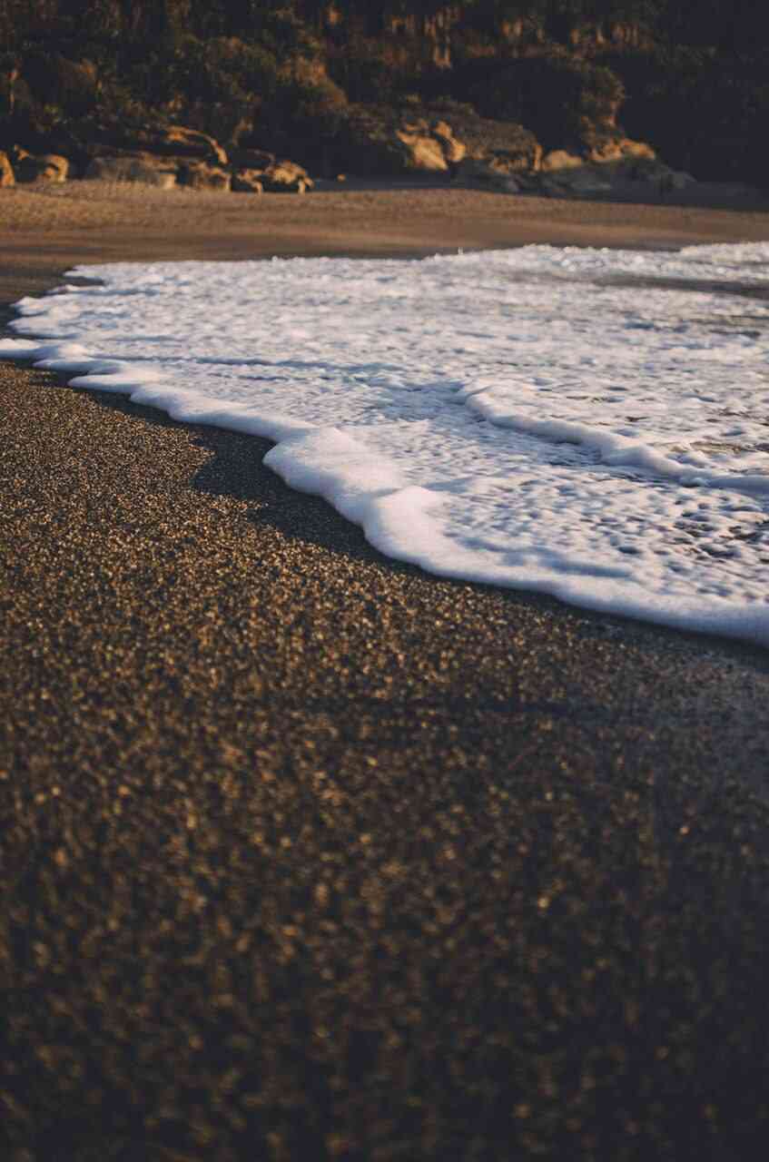 I choose peace 🕊️ - MirrorLog.com