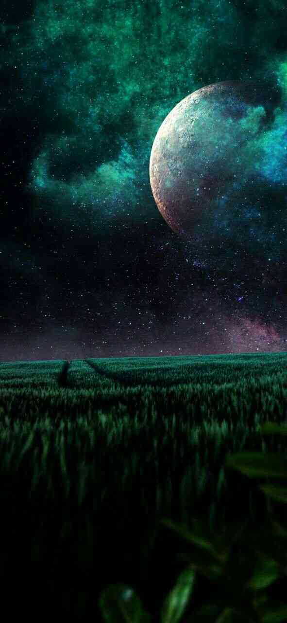 Night - MirrorLog.com