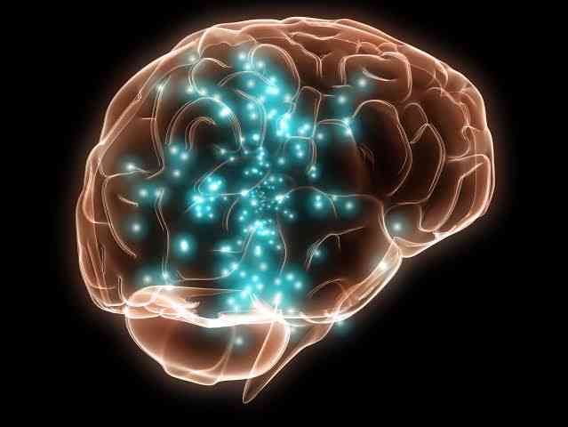 Facts About The Human Brain facts-about-the-human-brain
