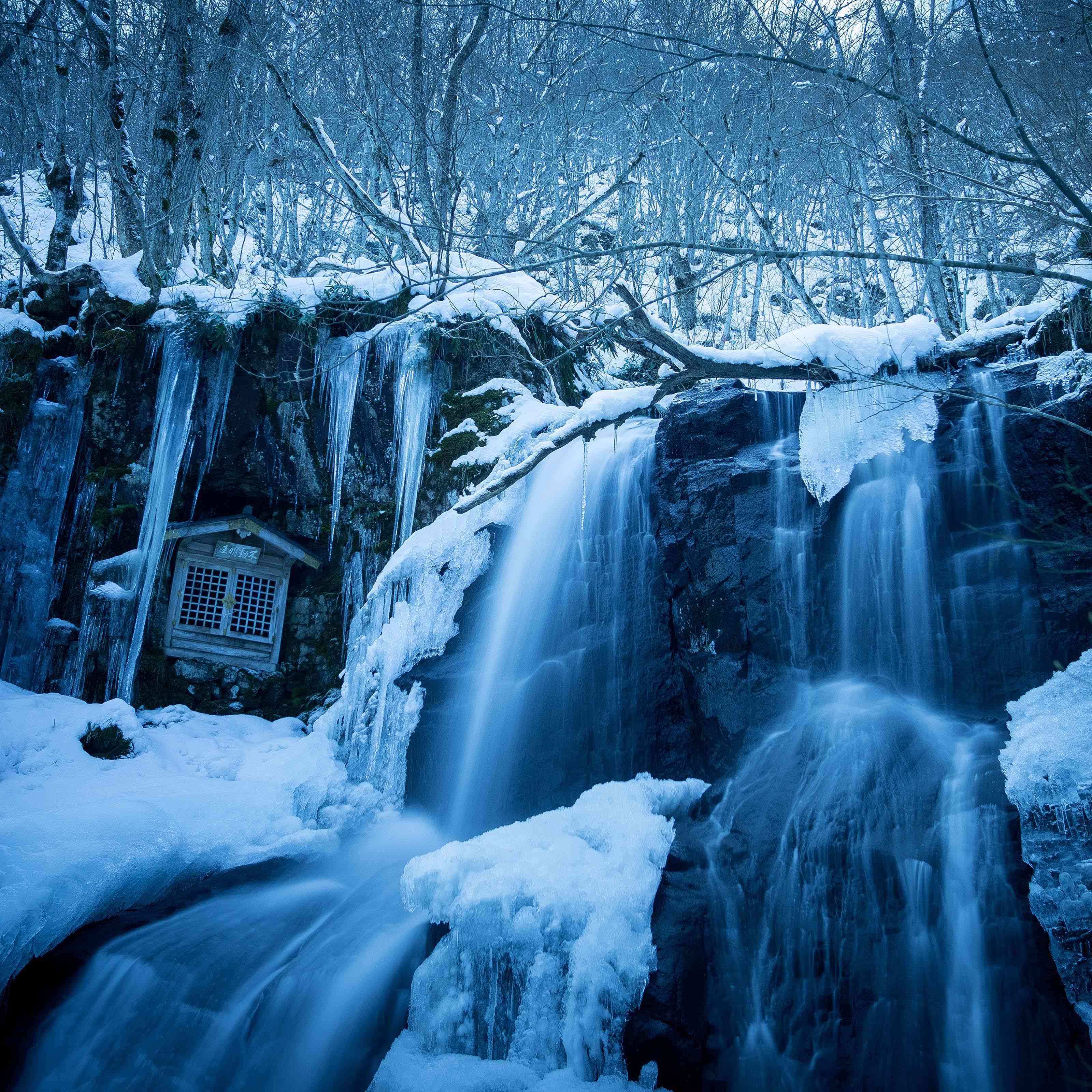 Winter wallpaper - MirrorLog.com