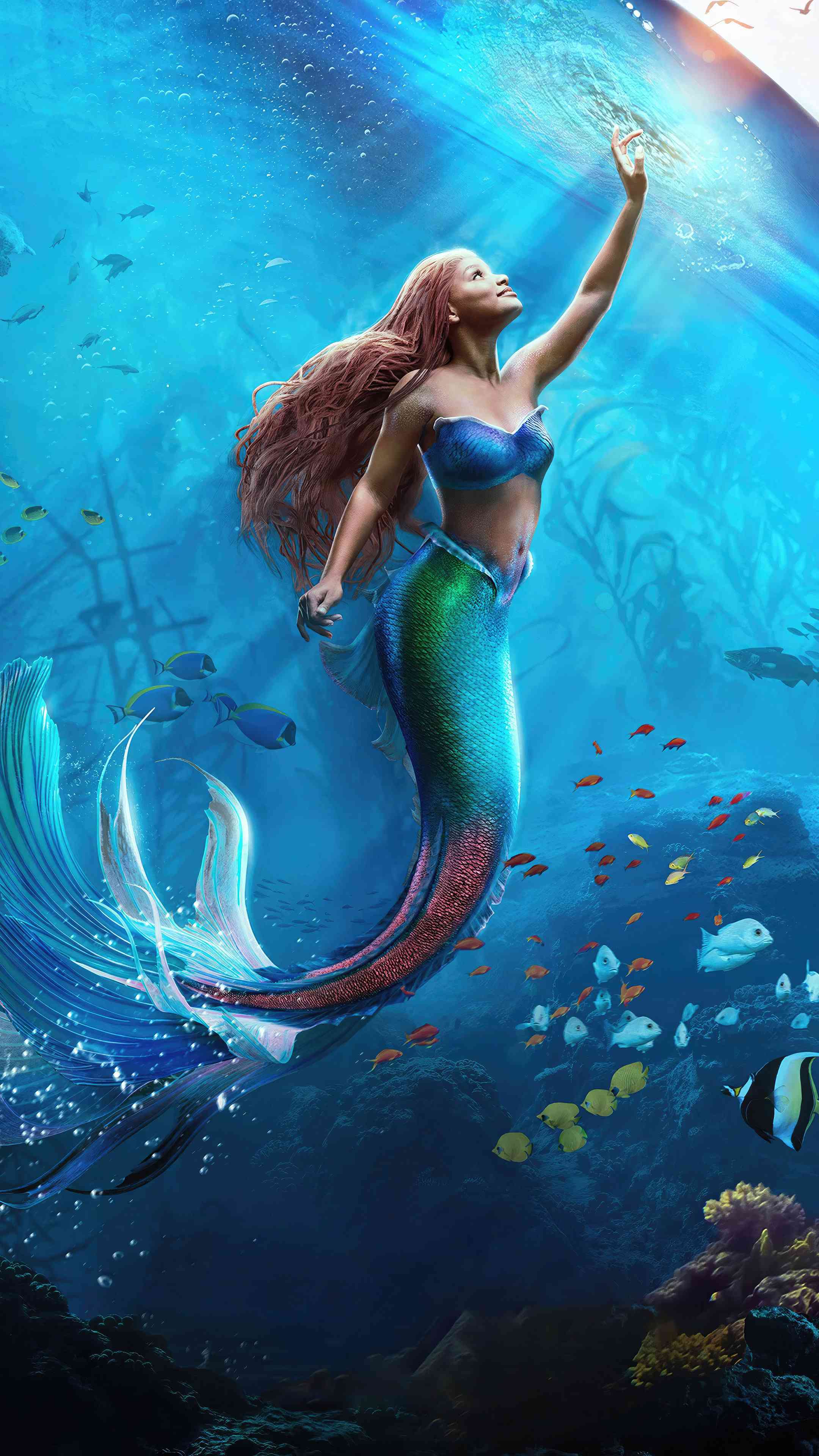 Little mermaid wallpaper - MirrorLog.com